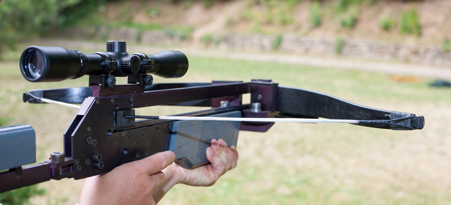 Best Crossbow Scopes - Gearhungry