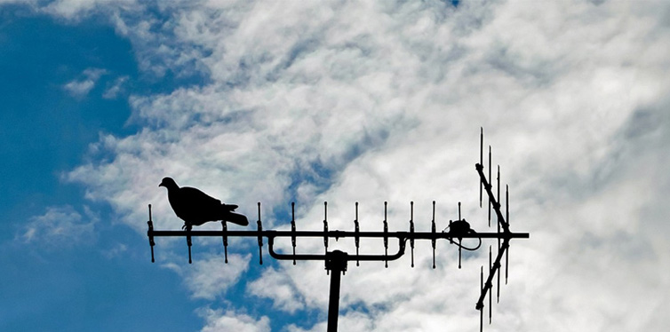 The Best Outdoor TV Antenna Guide of 2018 - GearHungry