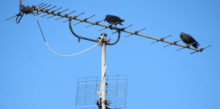 The Best Outdoor TV Antenna Guide of 2018 - GearHungry