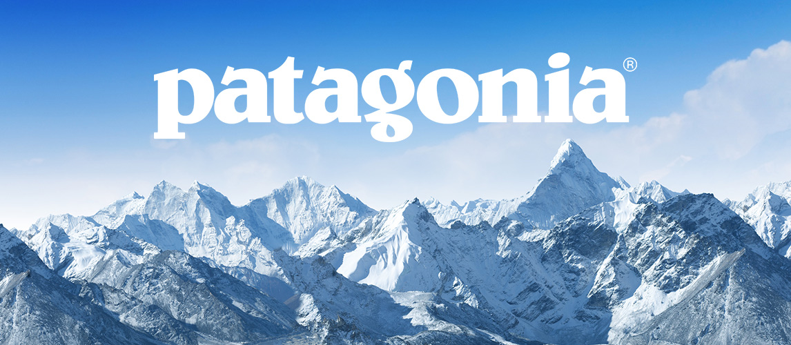 Best Patagonia Backpacks in 2022 [Buying Guide] Gear Hungry