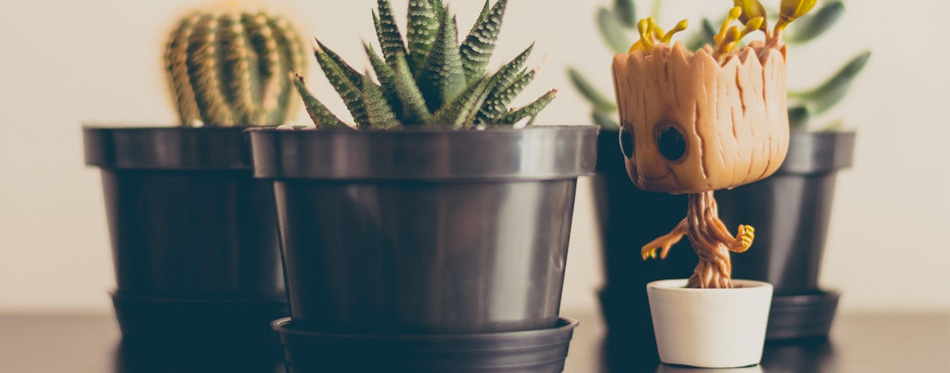 Best Pop Vinyls in 2022 [Buying Guide] - Gear Hungry