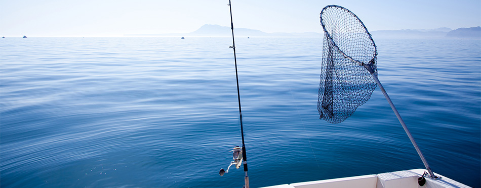 Best Fishing Nets in 2022 [Buying Guide] - Gear Hungry