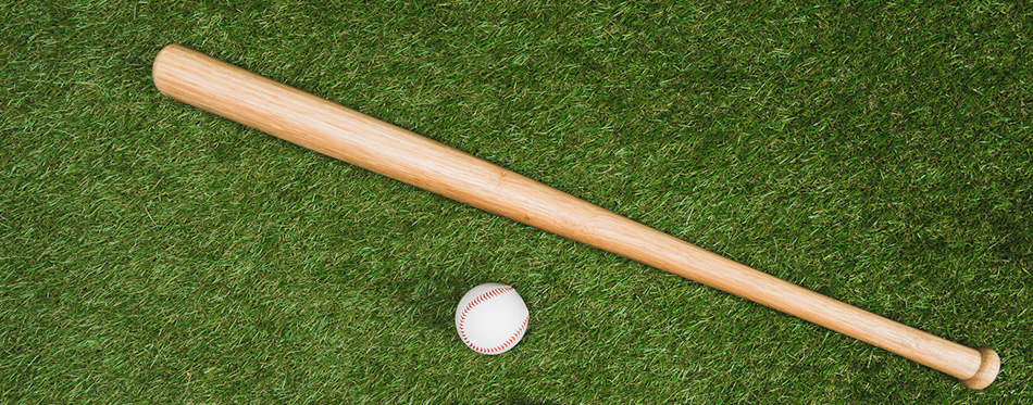 Best Baseball Bats in 2022 [Buying Guide] - GearHungry