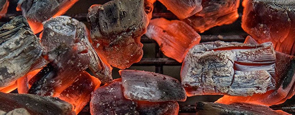 Best Charcoals In 2022 [Buying Guide] – Gear Hungry