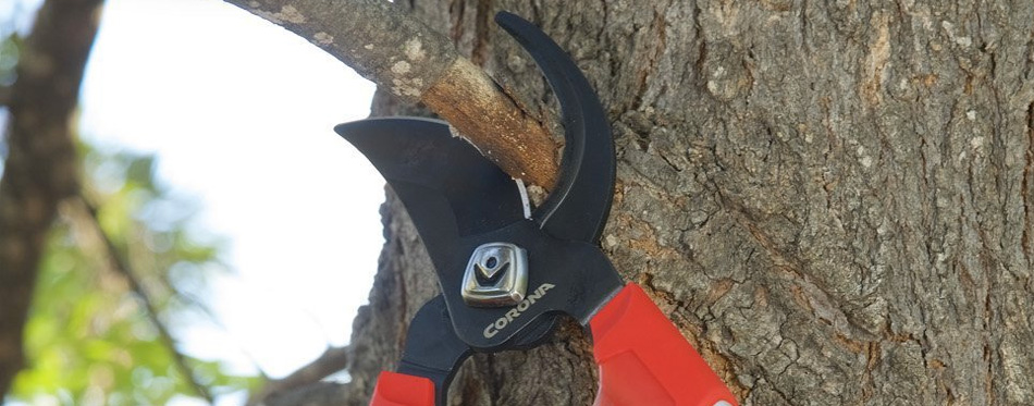 10 Best Loppers In 2019 [Buying Guide] – Gear Hungry