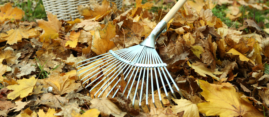 Best Leaf Rakes In 2022 [Buying Guide] – Gear Hungry