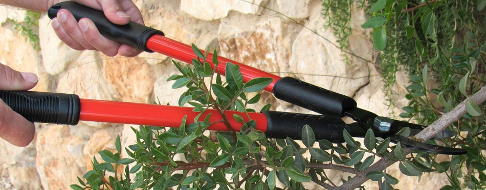 10 Best Loppers In 2019 [Buying Guide] – Gear Hungry