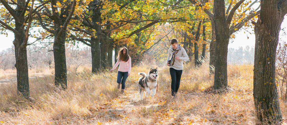 10 Outdoor Activities For The Fall – Gear Hungry
