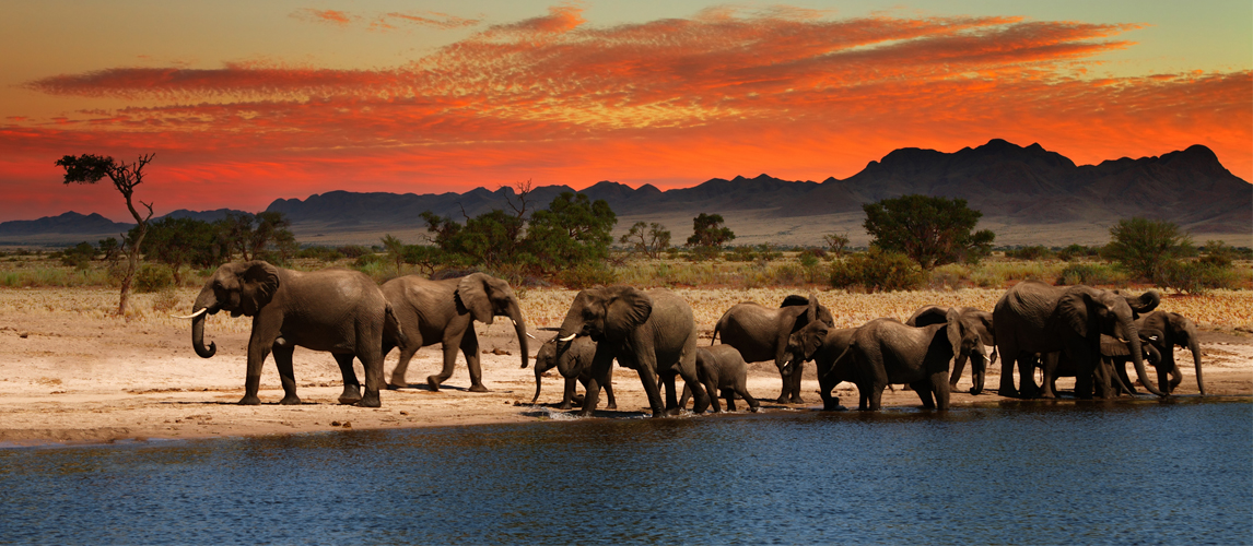 The Ultimate Safari Travel Guide - Gear Hungry