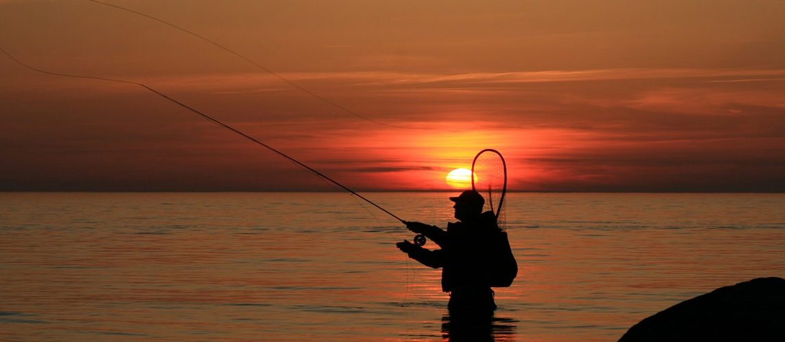 Top Tips To Choose The Right Fly Line - Gear Hungry