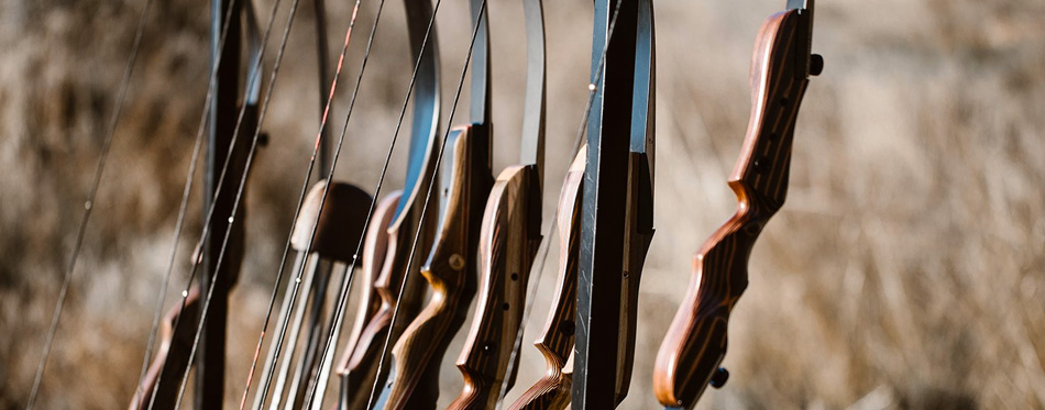 Best Recurve Bows In 2022 [Buying Guide] – Gear Hungry