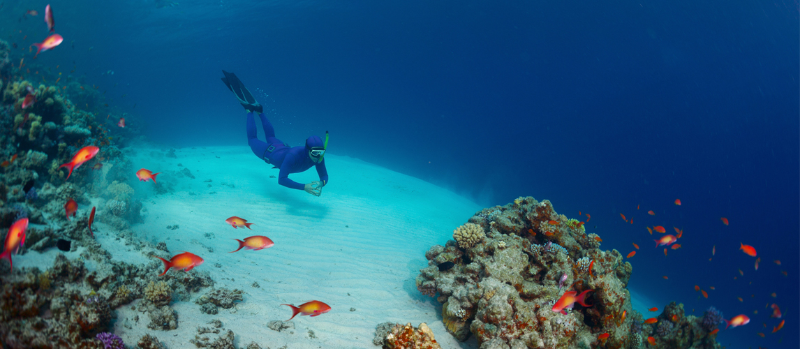 Freediving For Beginners - Gear Hungry