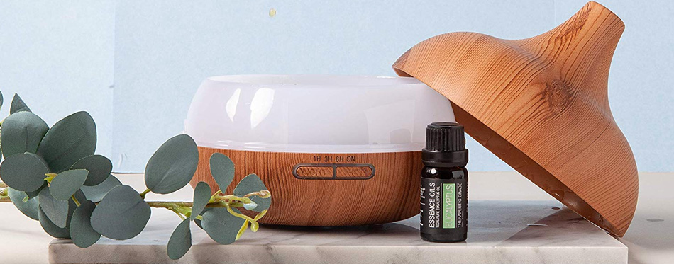 Best Aromatherapy Diffusers In 2022 [Buying Guide] – Gear Hungry