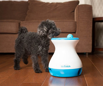 iFetch Frenzy - Gear Hungry