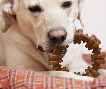 Nylabone Power Chew Textured Ring - Gear Hungry
