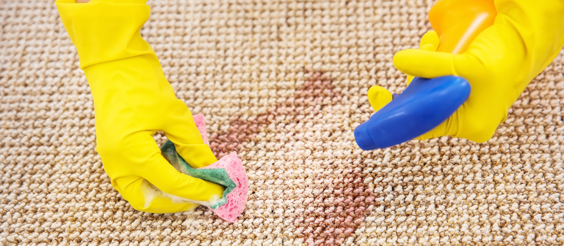 Best Stain Removers In 2022 [Buying Guide] – Gear Hungry