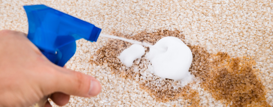 Best Stain Removers In 2022 [Buying Guide] – Gear Hungry