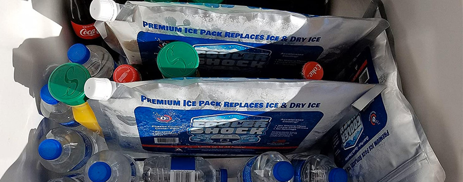 Best Ice Packs For Coolers In 2022 [Buying Guide] – Gear Hungry