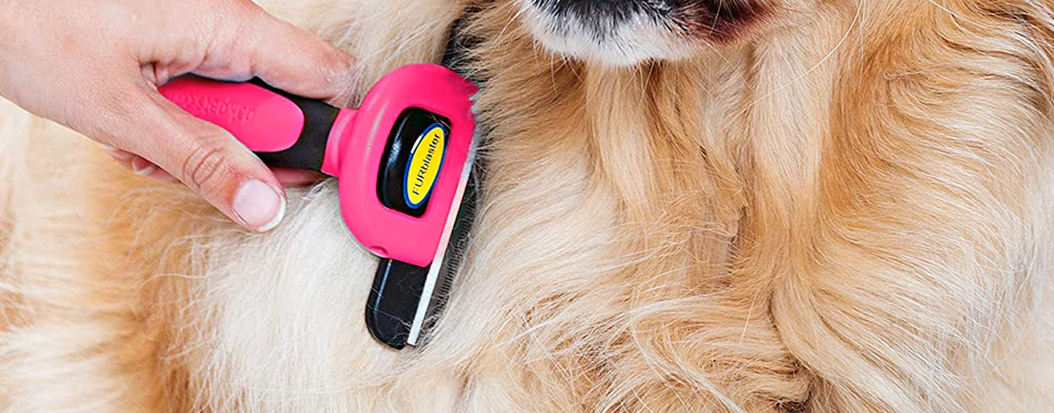 Best Deshedding Tools In 2022 [Buying Guide] – Gear Hungry