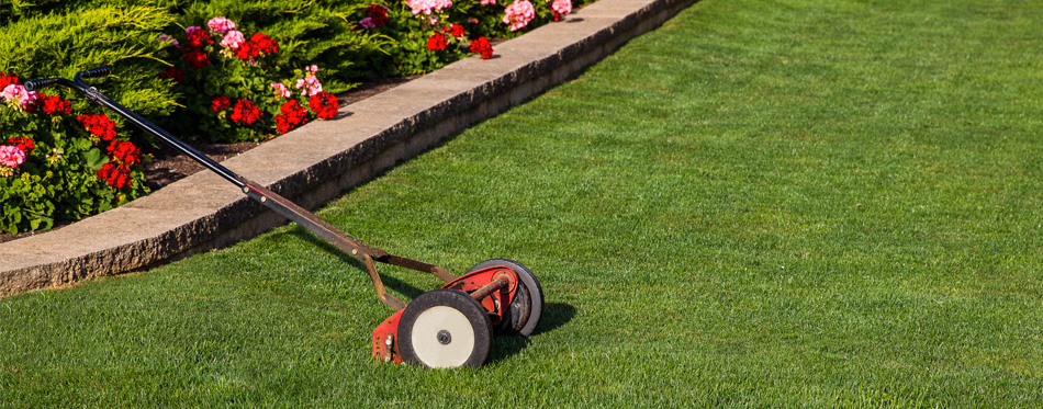 Best Reel Mowers In 2021 [Buying Guide] – Gear Hungry