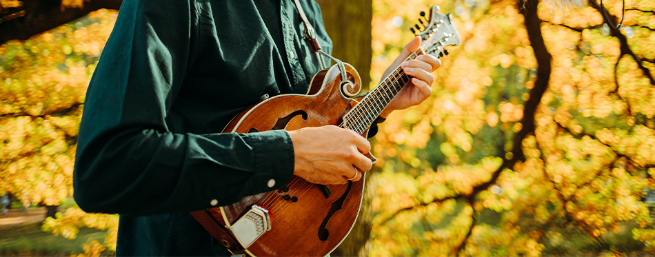 Best Mandolins in 2021: Beginner & Intermediate - Gear Hungry