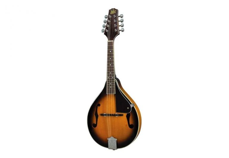 Best Mandolins in 2022: Beginner & Intermediate - Gear Hungry