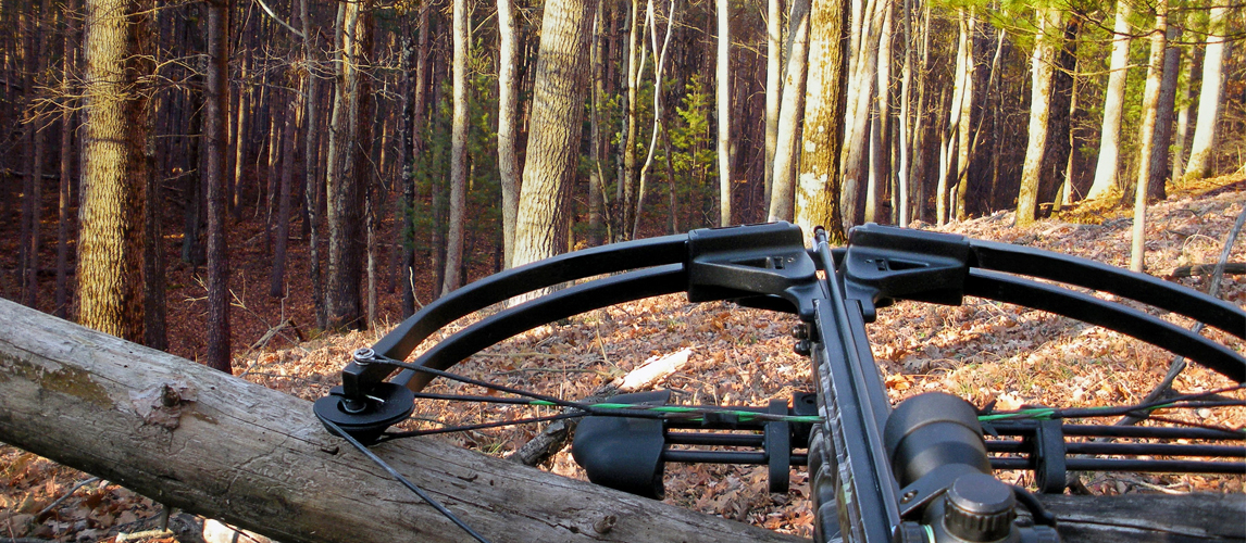 Best Crossbow Scopes in 2021 [Buying Guide] – Gear Hungry