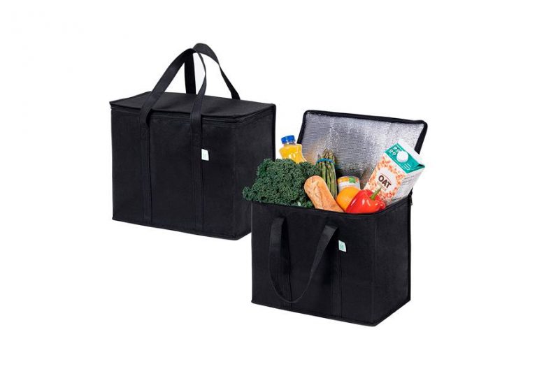 Best Insulated Food Bags in 2022 [Buying Guide] - GearHungry