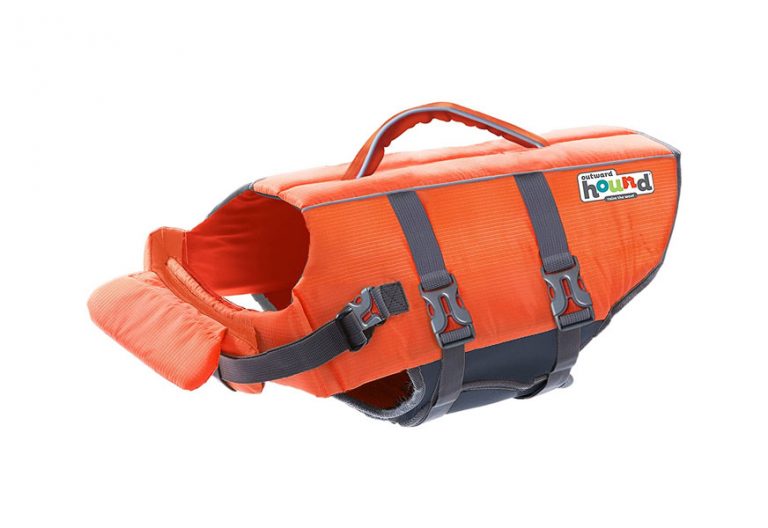 Best Dog Life Jackets In 2022 [Buying Guide] – Gear Hungry