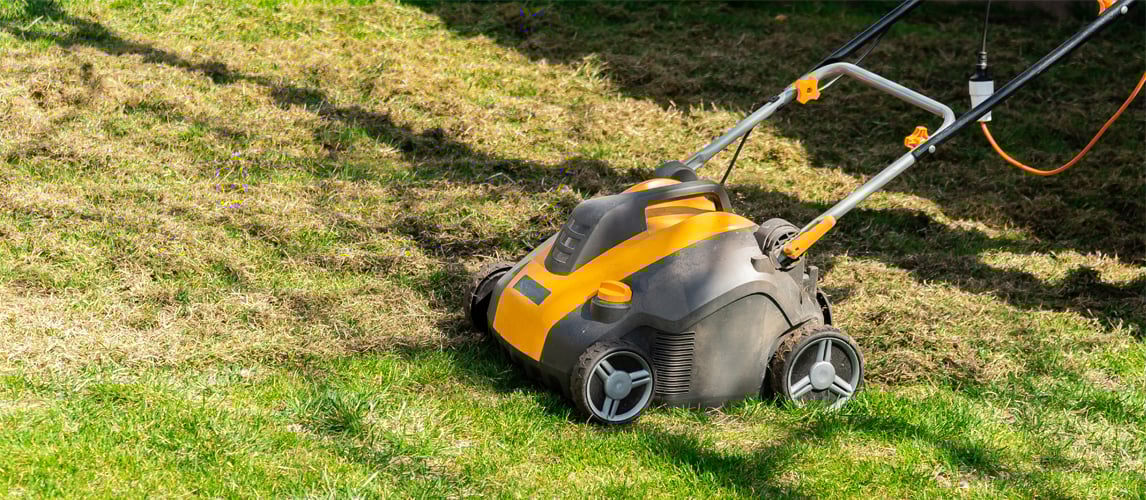 The Best Lawn Dethatchers For A Healthy, Happy Lawn – Gear Hungry