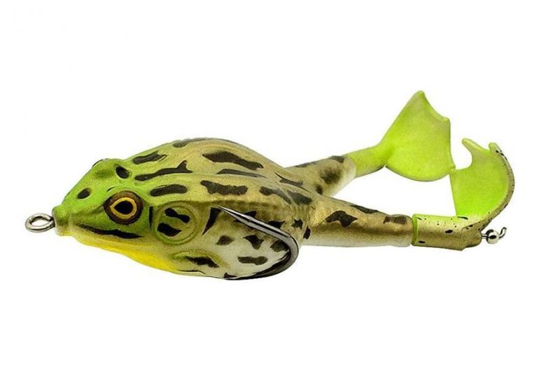 Best Fishing Lures in 2022 [Buying Guide] - GearHungry