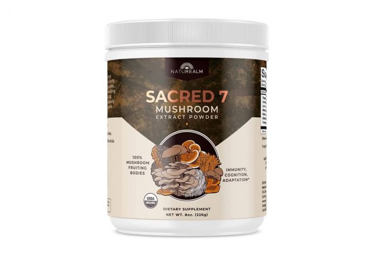 Best Mushroom Supplements In 2022 [Buying Guide] – Gear Hungry