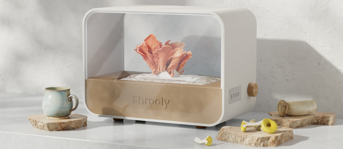 Shrooly: Grow Superfood At Home - GearHungry