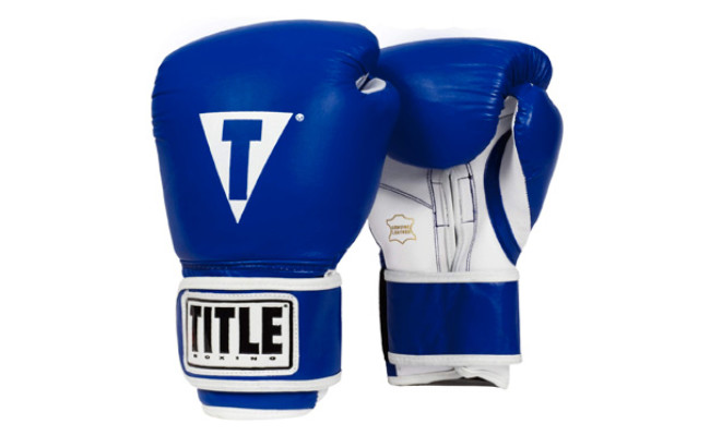 15 Best Boxing Gloves in 2019 - [Buying Guide] - Gear Hungry