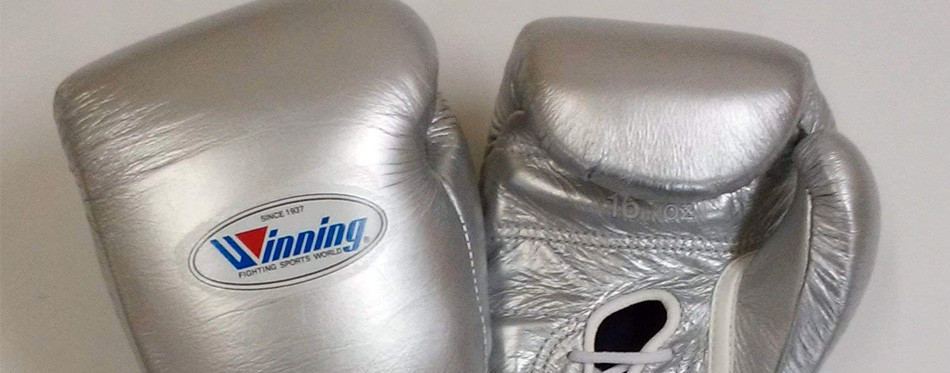 15 Best Boxing Gloves in 2021 - [Buying Guide] - Gear Hungry