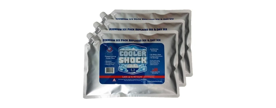 Best Ice Packs For Coolers In 2022 [Buying Guide] – Gear Hungry