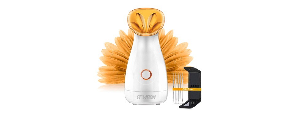 11 Best Facial Steamers In 2020 [Buying Guide] – Gear Hungry