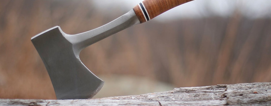 13 Best Axes For Chopping Wood in 2019 [Buying Guide] – Gear Hungry