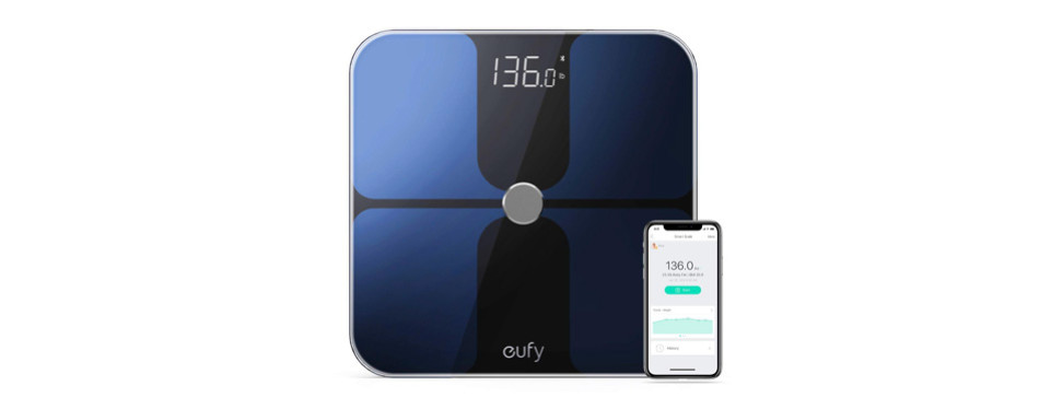10 Best Smart Scales in 2019 [Buying Guide] – Gear Hungry