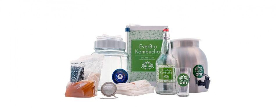 8 Best Kombucha Starter Kits in 2019 [Buying Guide] - GearHungry🏅
