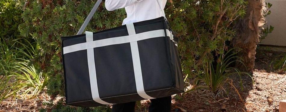 10 Best Insulated Food Bags in 2019 [Buying Guide] - GearHungry