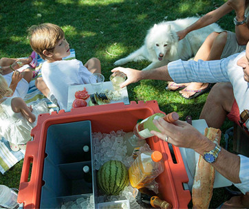 10 Best Mini Fridges in 2020 [Buying Guide] - Gear Hungry