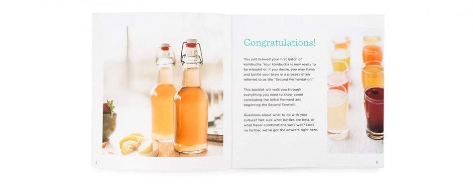 8 Best Kombucha Starter Kits in 2019 [Buying Guide] - GearHungry🏅