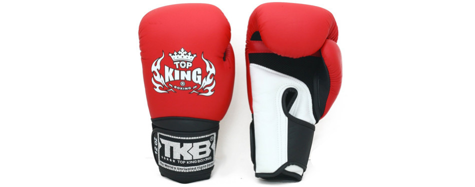 15 Best Boxing Gloves in 2019 - [Buying Guide] - Gear Hungry