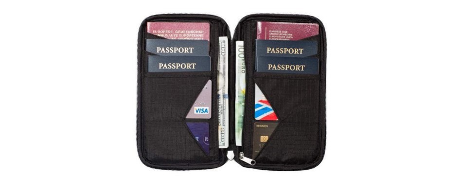 10 Best Travel Wallets in 2019 [Buying Guide] - GearHungry